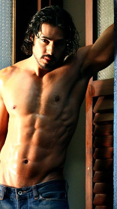 Dino Morea Body